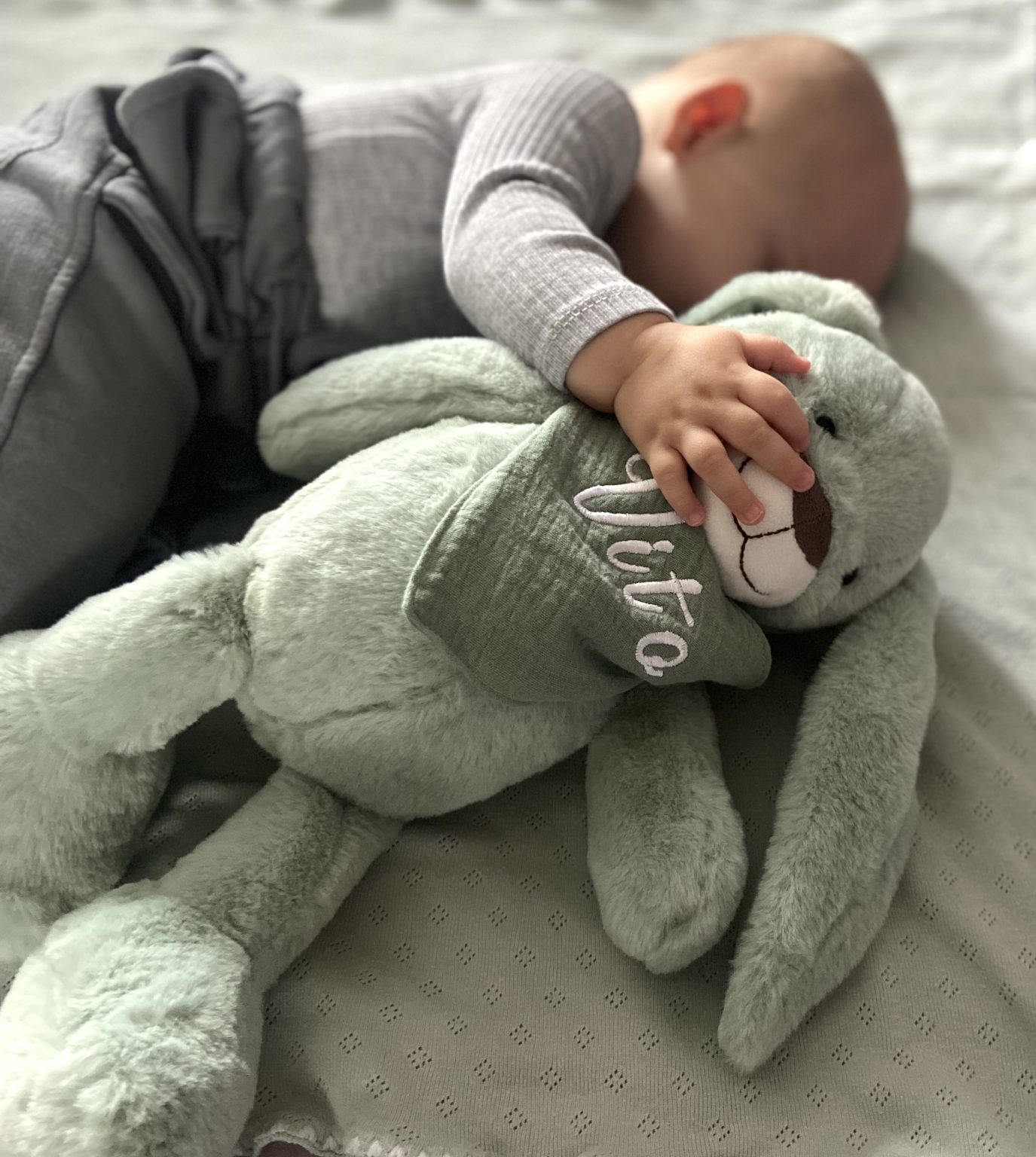 Plišani zeko s imenom zeleni — Moj Planer